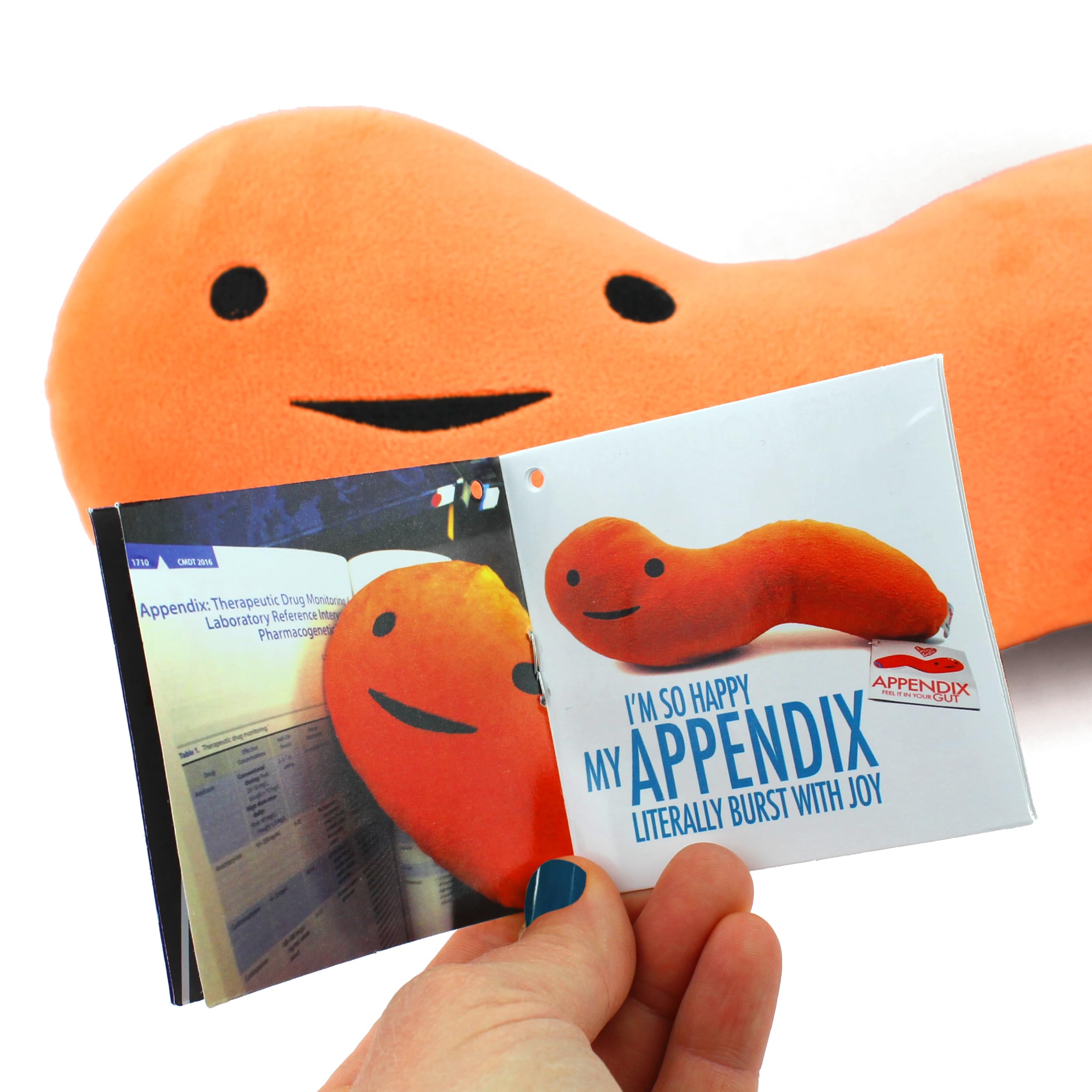 I Heart Guts Appendix Plush - Feel It In Your Gut - 14" Stuffed Organ Plush Toy, Appendix Removal Get Well Gifts, Ideal for Appendicitis, Kids, Nurses, Medical Students,Surgery