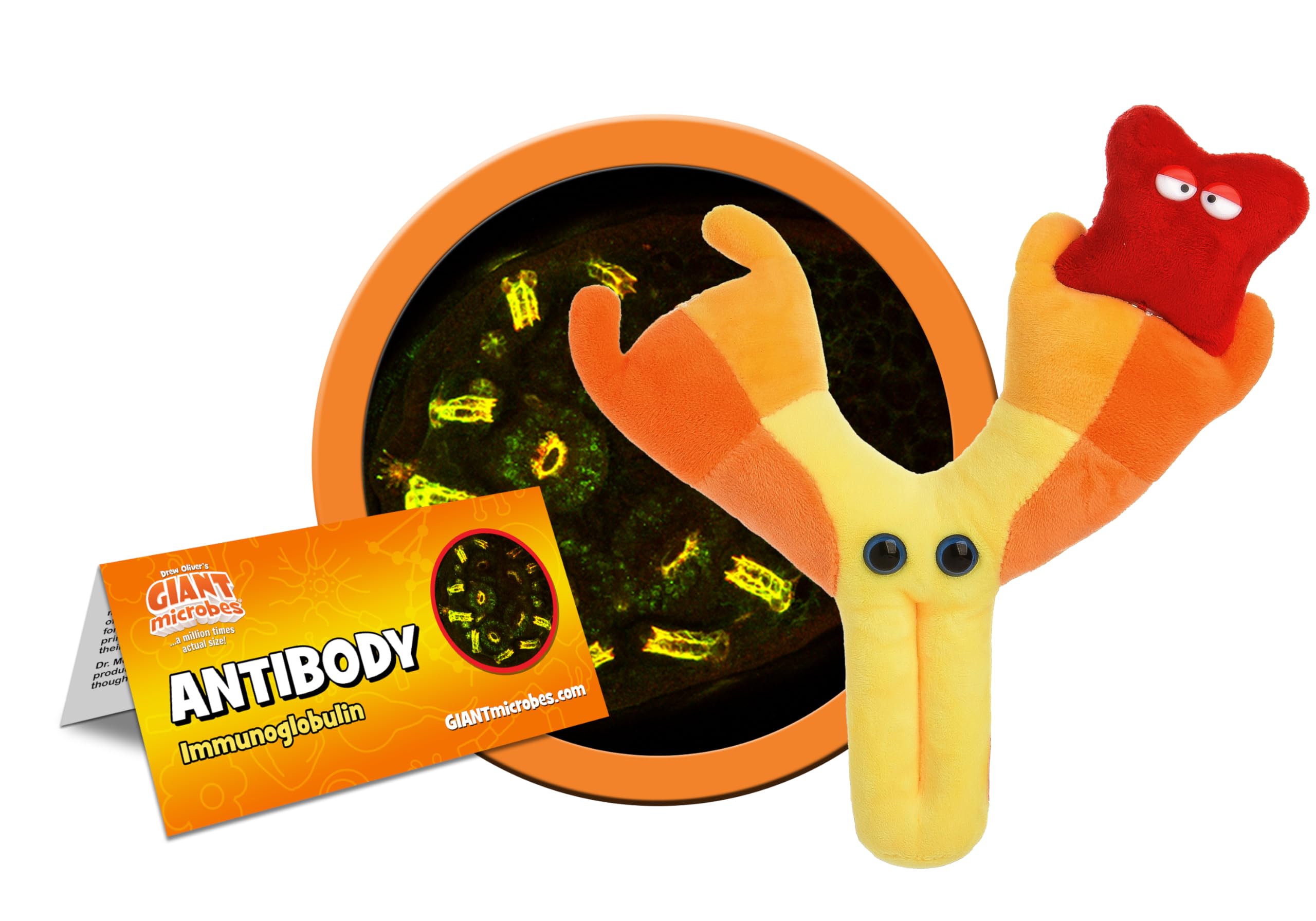 GIANTmicrobes Antibody Plush, Blood Cell Plush, Blood Bank Laboratory Gifts, Lab Tech Gifts, Hematology Gifts, Leukemia Gifts, Get Well Gifts