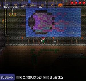 Terraria [Japan Import]