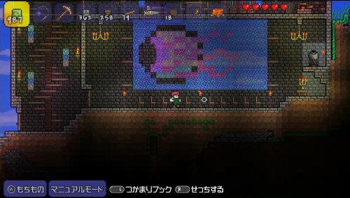 Terraria [Japan Import]