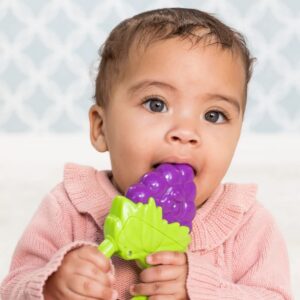 Infantino Vibrating Teether Fruit Set