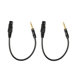 audio2000's 1/4 inch ts to xlr female cable (1 feet 2 pack)