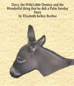 davy, the wild little donkey and the wonderful thing that he did: a palm sunday story