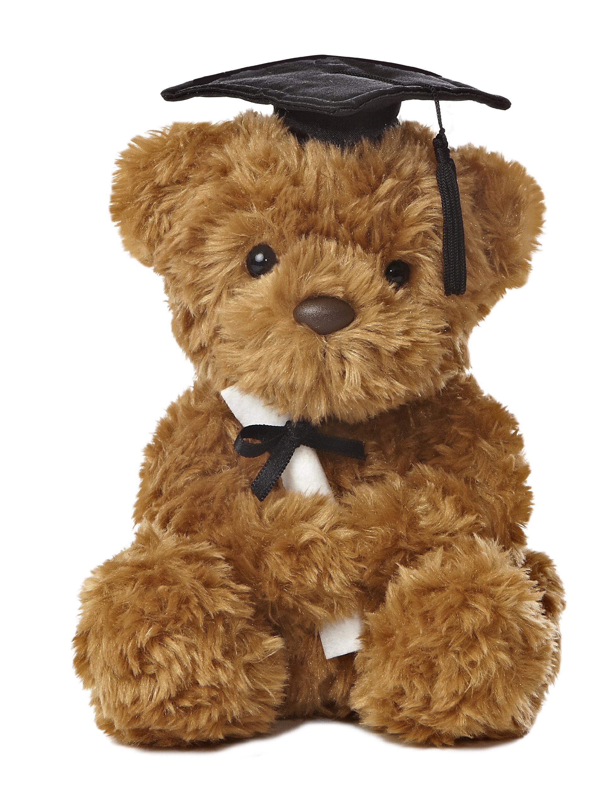 Aurora - Graduation - 8.5" Wagner Bear Graduation - Black Cap