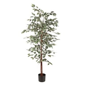 Ficus Artificial Tree - Fake Plant with Variegated Leaves and Natural Trunk - 5-Foot-Tall Topiary Decor for Indoor or Outdoor Use by Pure Garden