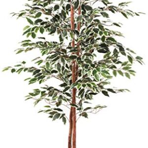 Ficus Artificial Tree - Fake Plant with Variegated Leaves and Natural Trunk - 5-Foot-Tall Topiary Decor for Indoor or Outdoor Use by Pure Garden