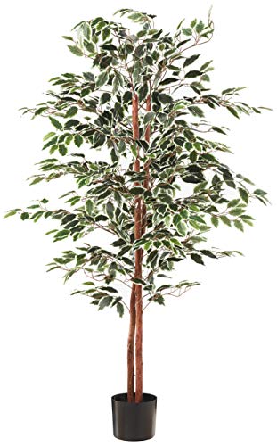 Ficus Artificial Tree - Fake Plant with Variegated Leaves and Natural Trunk - 5-Foot-Tall Topiary Decor for Indoor or Outdoor Use by Pure Garden