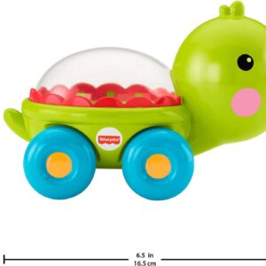 Fisher-Price Poppity Pop Turtle