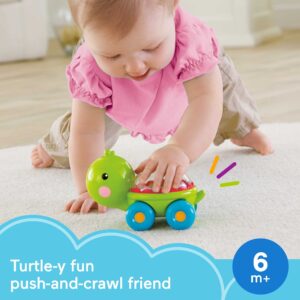 Fisher-Price Poppity Pop Turtle