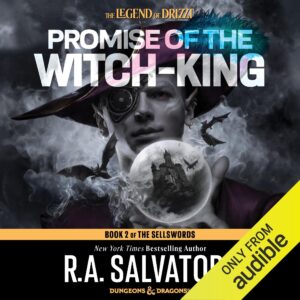 promise of the witch-king: forgotten realms: the sellswords, book 2