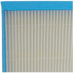 Winix 115122 PlasmaWave Series Long Life Washable Filter, Size 21, carbon pre-filters(4),White