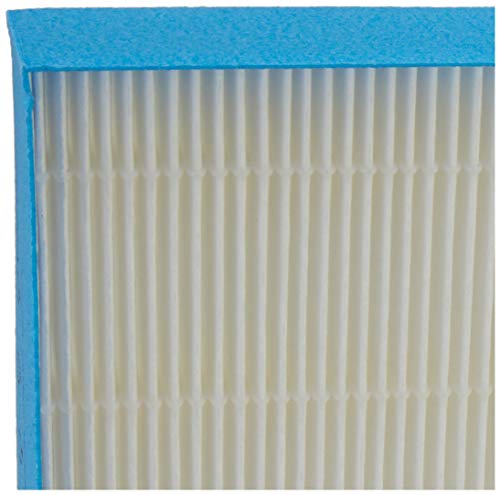 Winix 115122 PlasmaWave Series Long Life Washable Filter, Size 21, carbon pre-filters(4),White