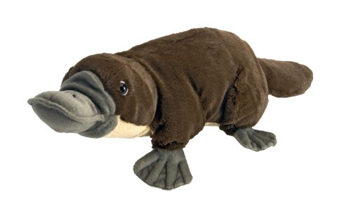 Wild Republic Platypus Plush, Stuffed Animal, Plush Toy, Gifts for Kids, Cuddlekins 12 inches