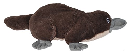 Wild Republic Platypus Plush, Stuffed Animal, Plush Toy, Gifts for Kids, Cuddlekins 12 inches