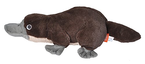 Wild Republic Platypus Plush, Stuffed Animal, Plush Toy, Gifts for Kids, Cuddlekins 12 inches