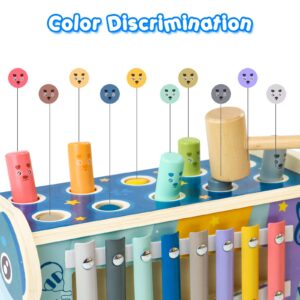 Montessori Toys for 1 Year Old -Baby Xylophone for Toddlers 1-3 Wooden Hammering Pounding Toys for 1 Year Old, Baby Montessori Toys 12 18 months, for 1 2 Year Old Toddlers Boys Girls