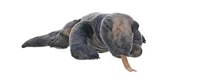 wild republic komodo dragon plush, stuffed animal, plush toy, gifts for kids, cuddlekins 12 inches