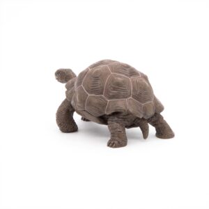 Papo Galapagos Tortoise Toy Figure