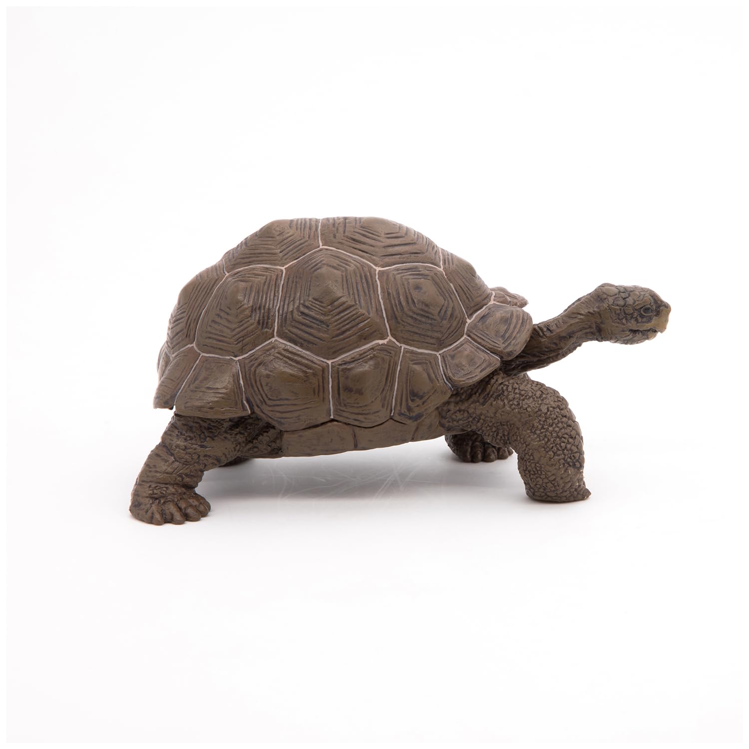 Papo Galapagos Tortoise Toy Figure