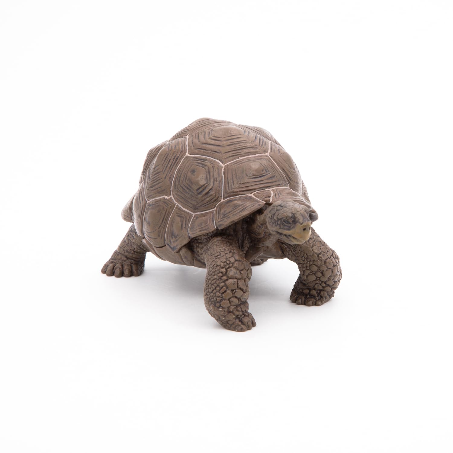 Papo Galapagos Tortoise Toy Figure