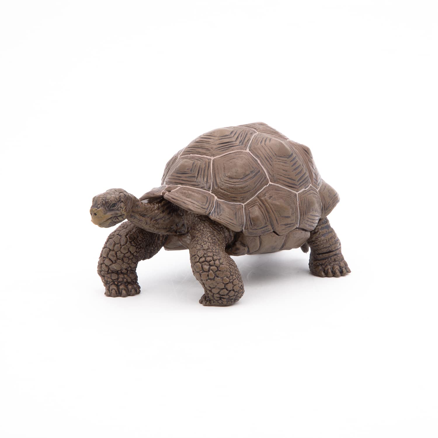 Papo Galapagos Tortoise Toy Figure