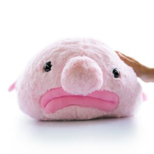 hashtag collectibles stuffed blobfish plush