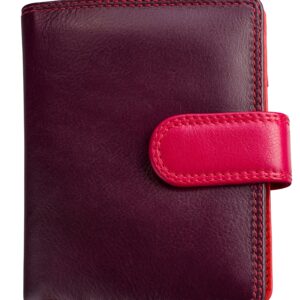 Visconti RB40 Multi Colored Small Soft Leather Ladies Wallet & Purse (Plum Multi)