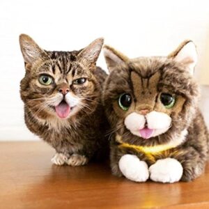 Cuddle Barn - Lil BUB | Soft Adorable Kitten Stuffed Animal Plush Toy, 10 inches