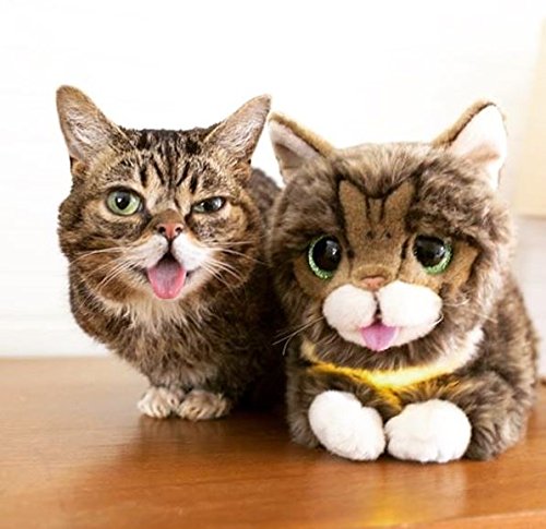 Cuddle Barn - Lil BUB | Soft Adorable Kitten Stuffed Animal Plush Toy, 10 inches