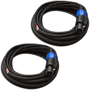 seismic audio - sprw25 (2 pack)- 25 foot raw wire to speakon speaker cable - 16 guage - pa/dj/home audio