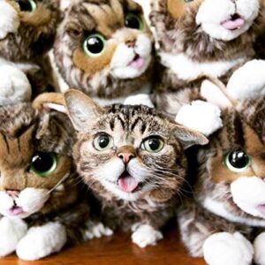 Cuddle Barn - Lil BUB | Soft Adorable Kitten Stuffed Animal Plush Toy, 10 inches