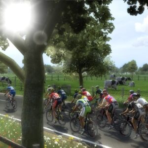 Tour De France 2014 (PS4)