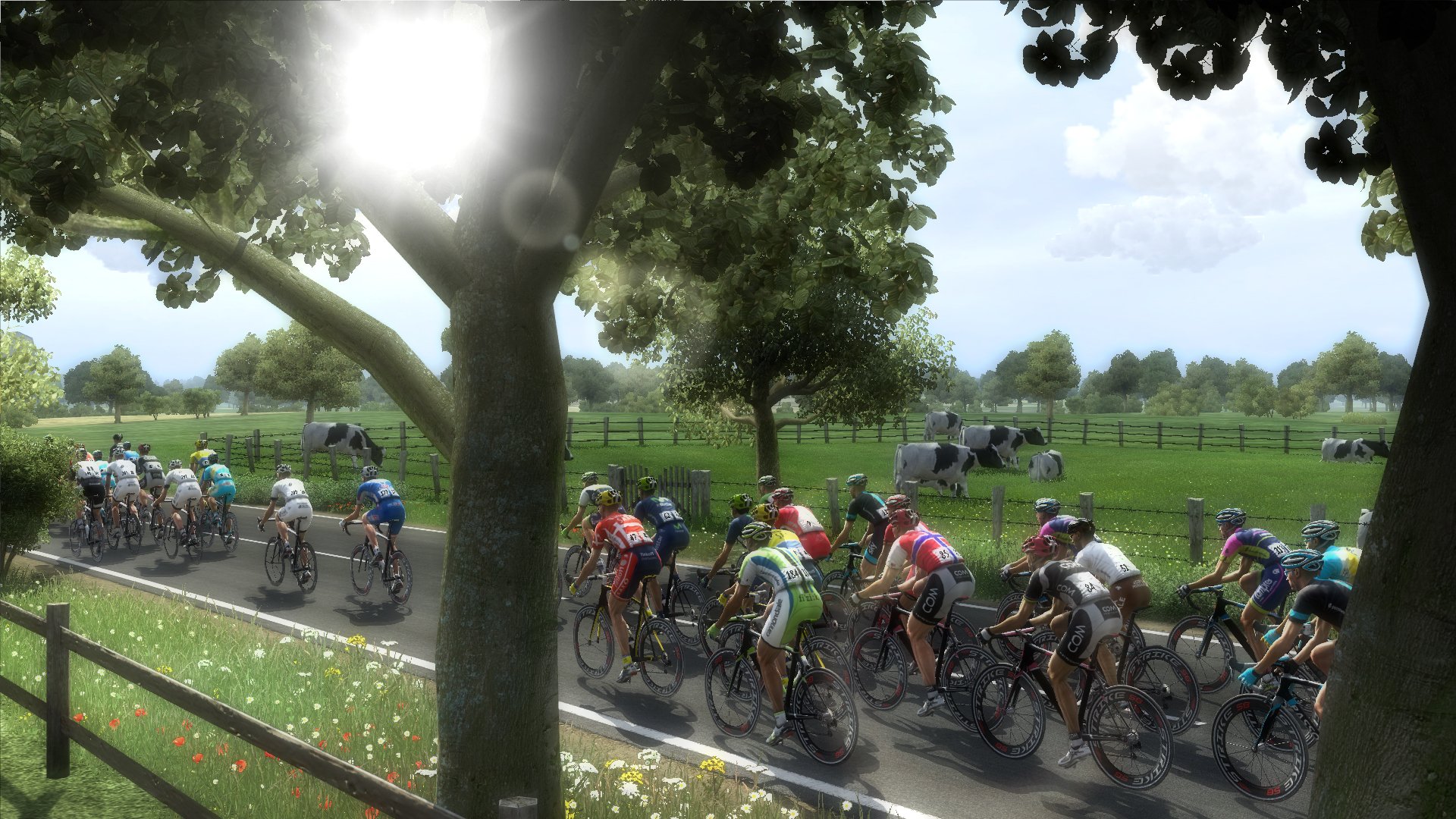 Tour De France 2014 (PS4)