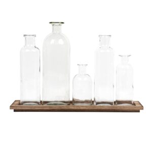 Creative Co-Op Set of 5 Vintage Bottle Vases on Wood Tray