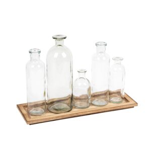 Creative Co-Op Set of 5 Vintage Bottle Vases on Wood Tray