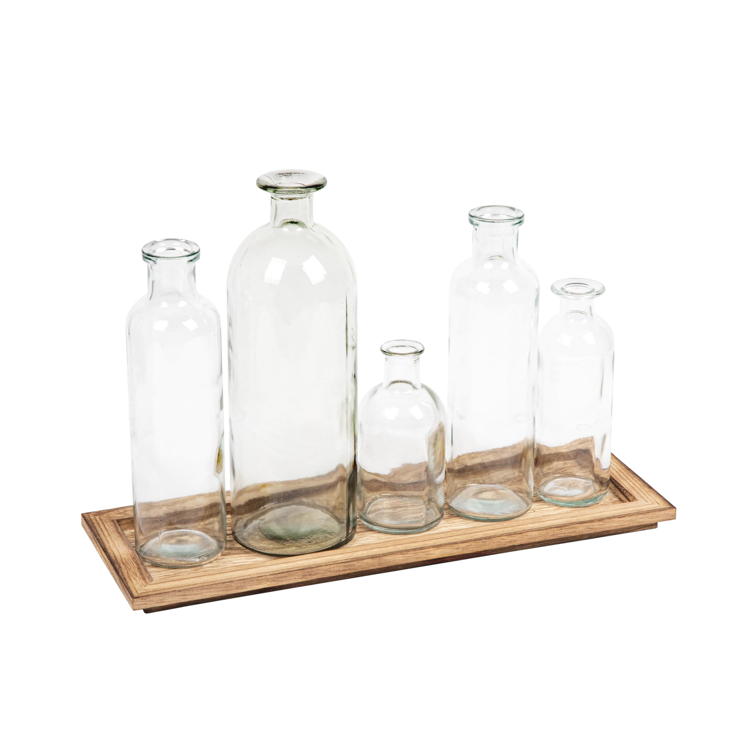 Creative Co-Op Set of 5 Vintage Bottle Vases on Wood Tray