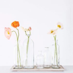 Creative Co-Op Set of 5 Vintage Bottle Vases on Wood Tray