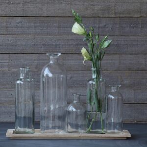 Creative Co-Op Set of 5 Vintage Bottle Vases on Wood Tray