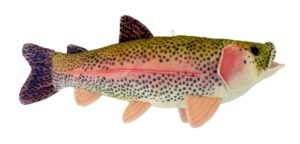 adore 16" sierra rainbow trout plush stuffed animal walltoy wall mount