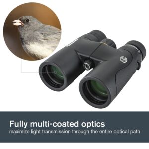 Celestron–Nature DX ED 8x42 Premium Binoculars –Extra-Low Dispersion Objective Lenses –Outdoor and Birding Binocular–Fully Multi-Coated with BaK-4 Prisms–Rubber Armored – Fog & Waterproof Binoculars