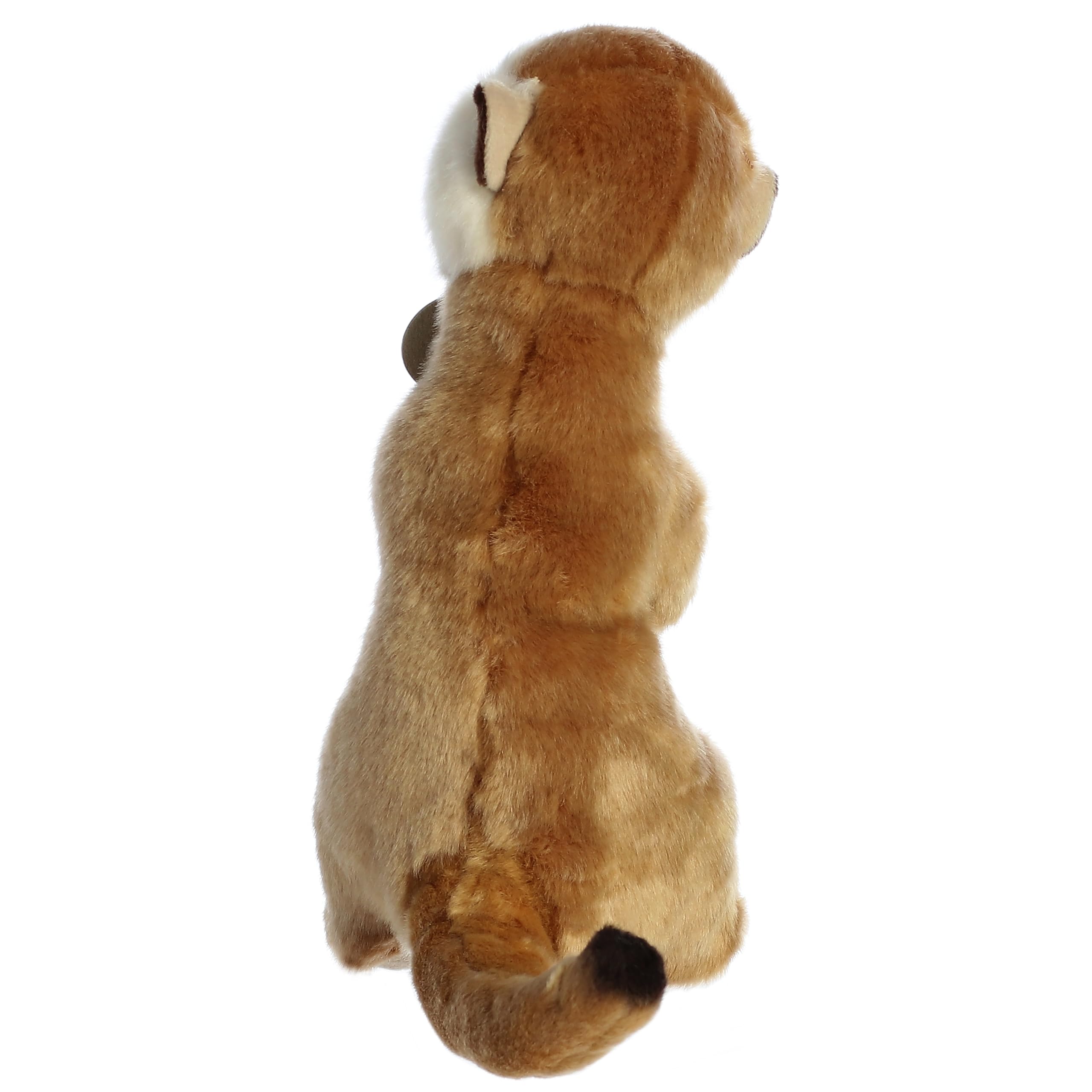 Aurora World Miyoni Meerkat Plush