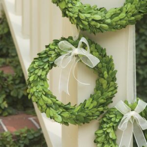 Napa Home and Garden Preserved Boxwood Wreath