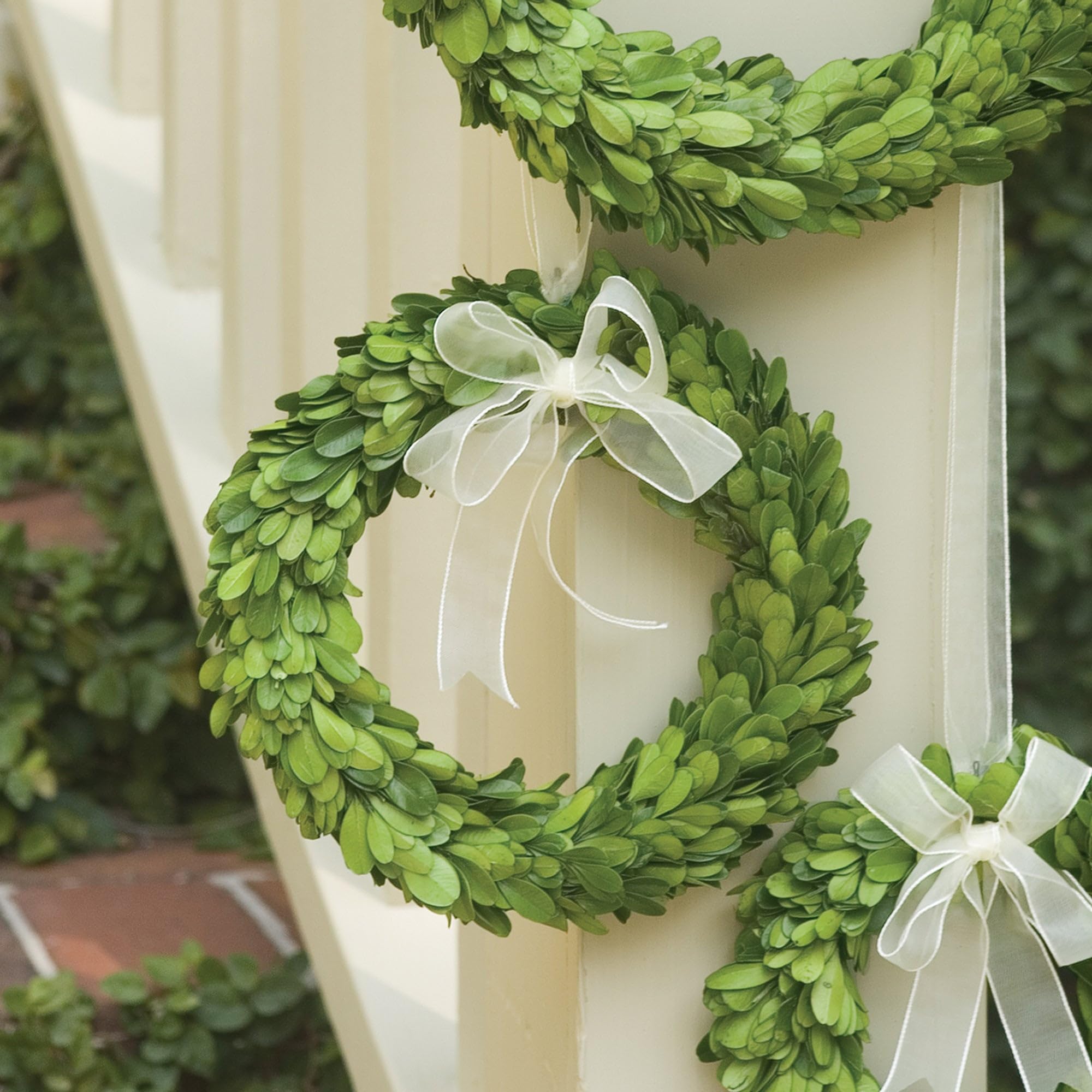 Napa Home and Garden Preserved Boxwood Wreath