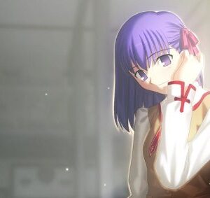 Fate / Stay Night [Realta Nua] Playstation Vita the Best Limited Benefits "Another Special Jacket" With