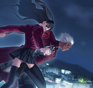 Fate / Stay Night [Realta Nua] Playstation Vita the Best Limited Benefits "Another Special Jacket" With