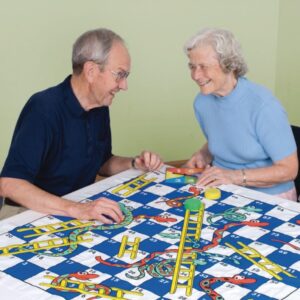 S&S Worldwide Jumbo Snakes & Ladders Game with 40" x 40" Vinyl Game Board Oversized Game Tokens and Inflatable Dice.