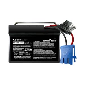 schumacher electric 12v battery for ride on toys - tb4 12v 12 amp hours with replaceable fuse - rechargeable 12v ride on replacement battery for peg perego vehicles - safe & easy to use