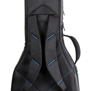 Reunion Blues RBX2B Double Electric Bass Bag