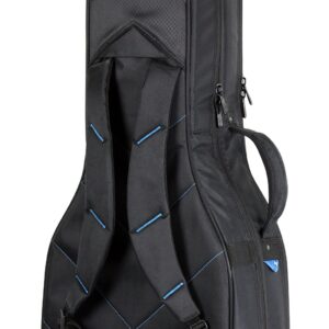 Reunion Blues RBX2B Double Electric Bass Bag