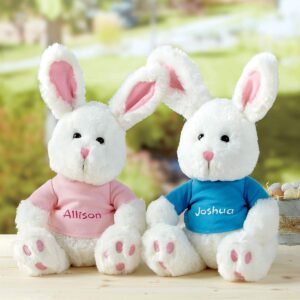 Lillian Vernon Personalized Easter Bunny with Pink T-Shirt Plush Toy - Stuffed Animal, Baby Toys, Holiday & Birthday Party Gifts, Custom Embroidered Name, 12 Inches Tall